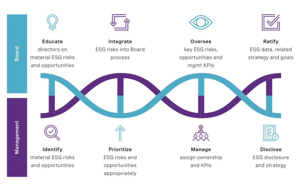 5 ways ESG reporting can be developed by the board